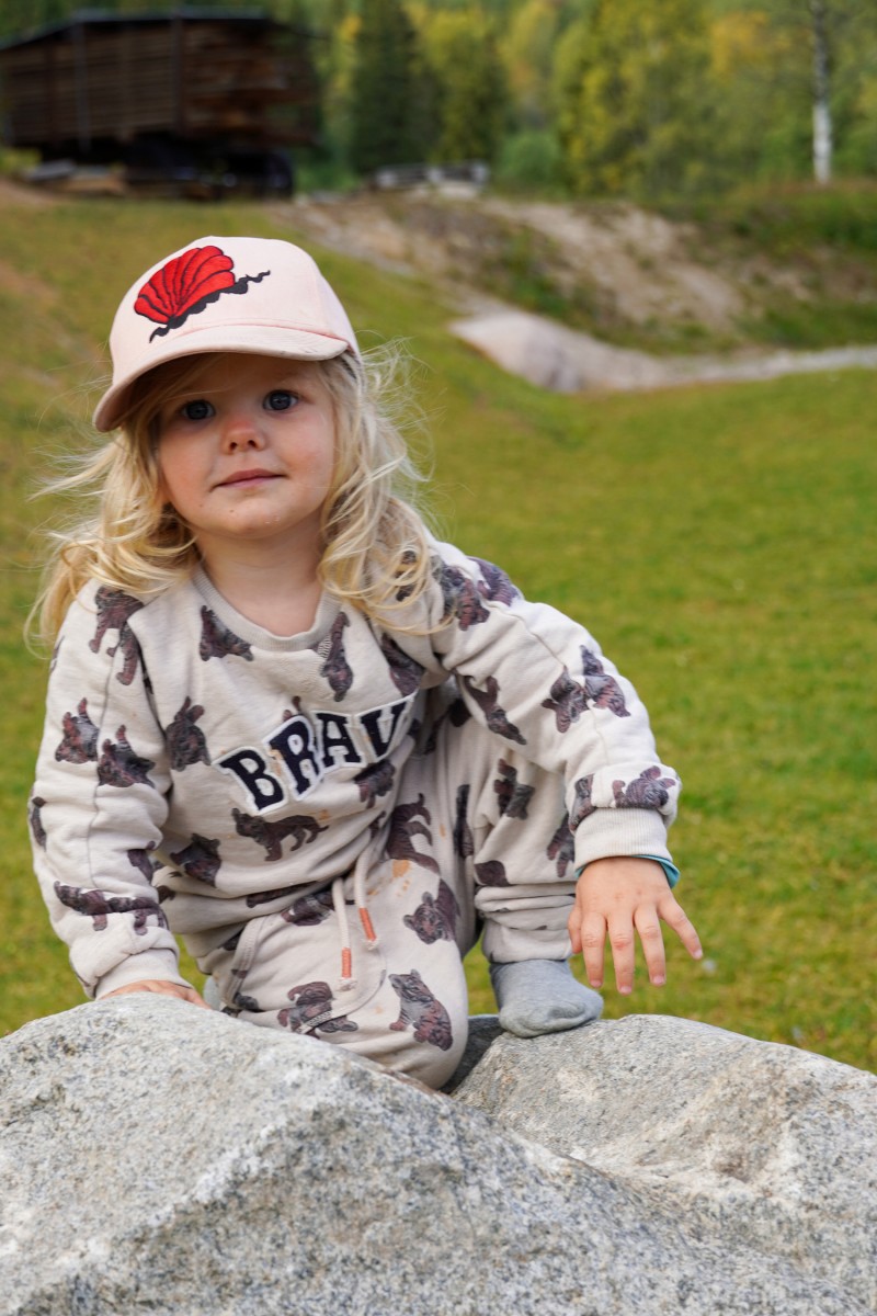 Familjen Weglin/Calderon har byggt ett Idyll 143 i Järvsö